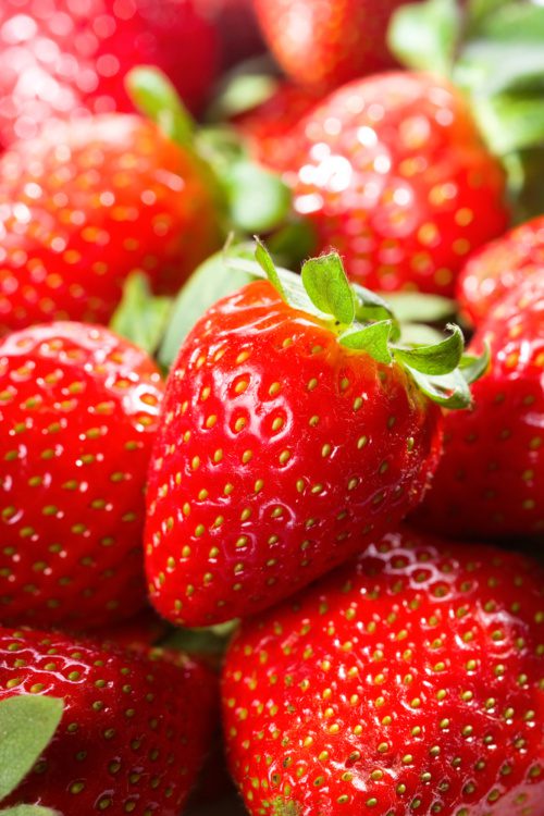 Strawberry Plants Archives - Ison's Nursery & Vineyard