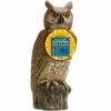Scarecrow® Sol-R Action Owl™ | Ison's Nursery & Vineyard