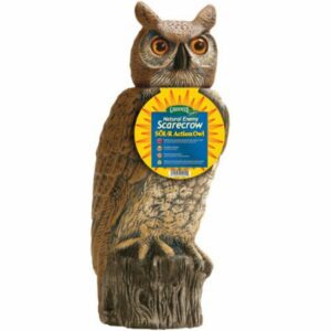 Scarecrow® Sol-R Action Owl™ | Ison's Nursery & Vineyard