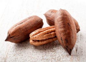 Carpathian English Walnut Tree | Ison's Nursery & Vineyard