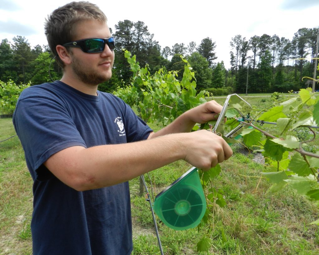 Tapener Tying Tool | Tying Support | Ison's Nursery & Vineyard