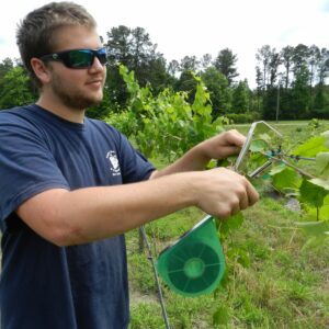 Tapener Tying Tool | Tying Support | Ison's Nursery & Vineyard