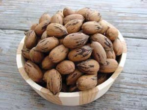 Carpathian English Walnut Tree | Ison's Nursery & Vineyard