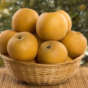 Shinko Asian Pear Tree | Ison's Nursery & Vineyard