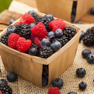 Berry Plants Archives - Ison's Nursery & Vineyard