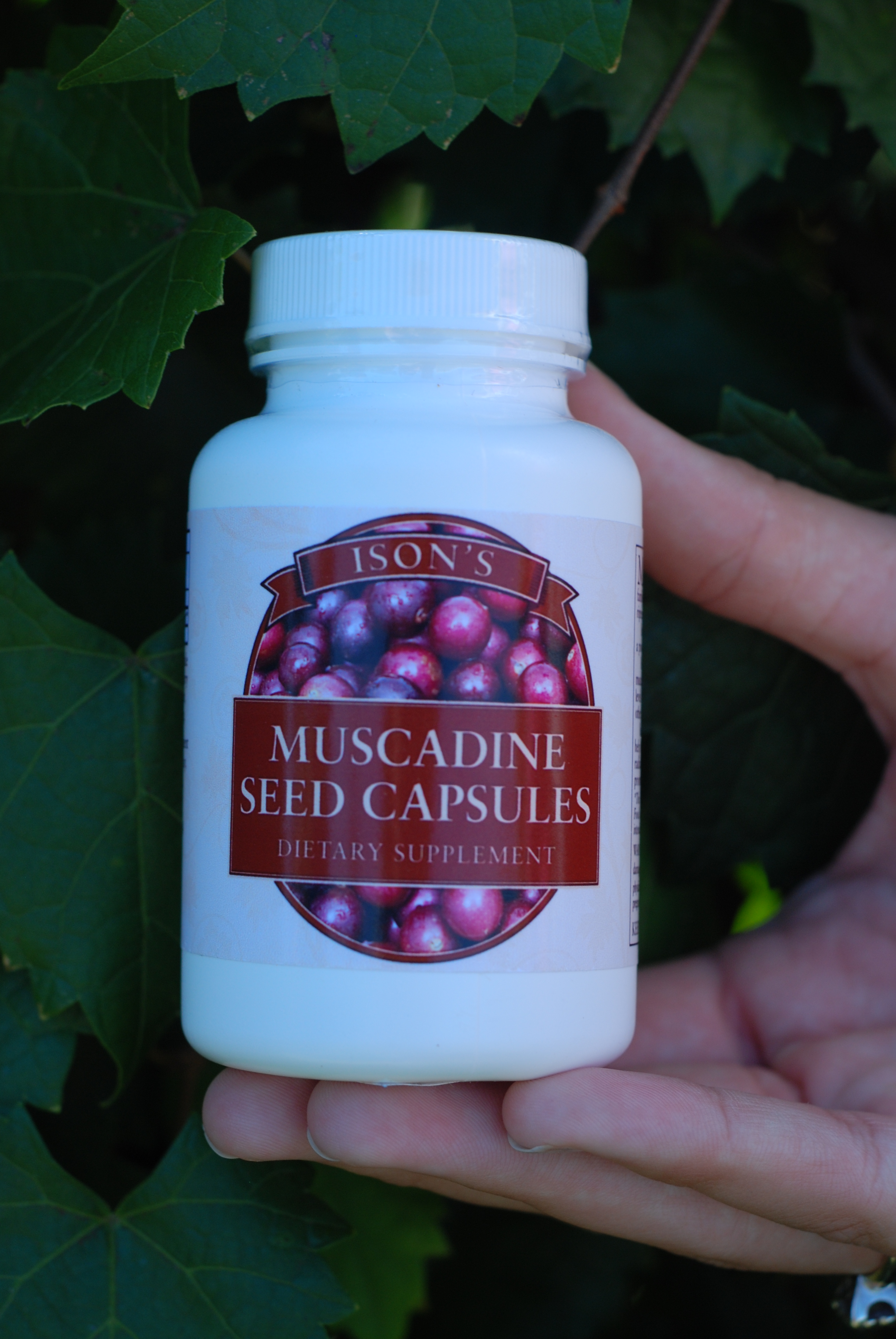 Muscadine Red Juice - Ison's Nursery & Vineyard