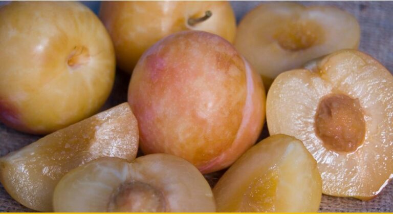 Hybrid Fruit Trees Archives - Ison's Nursery & Vineyard