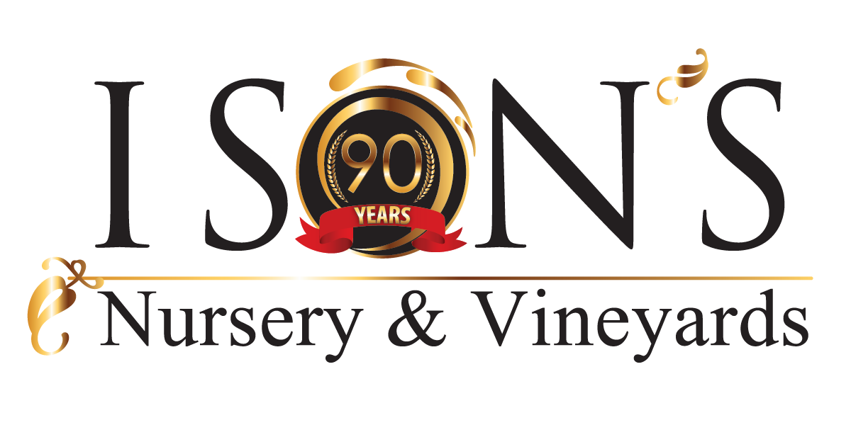 Ison’s Nursery & Vineyard | The Most Trusted Name in Muscadines