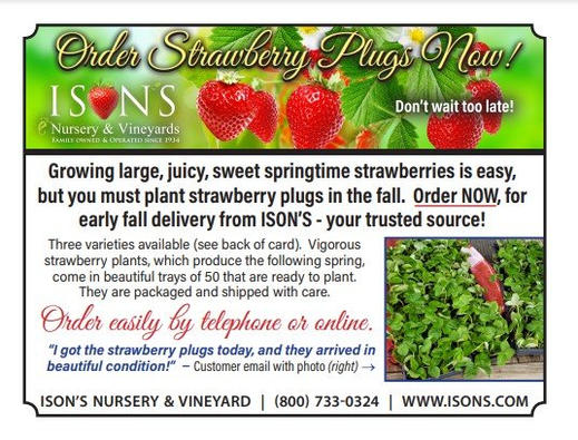 Ison’s Nursery & Vineyard | The Most Trusted Name in Muscadines